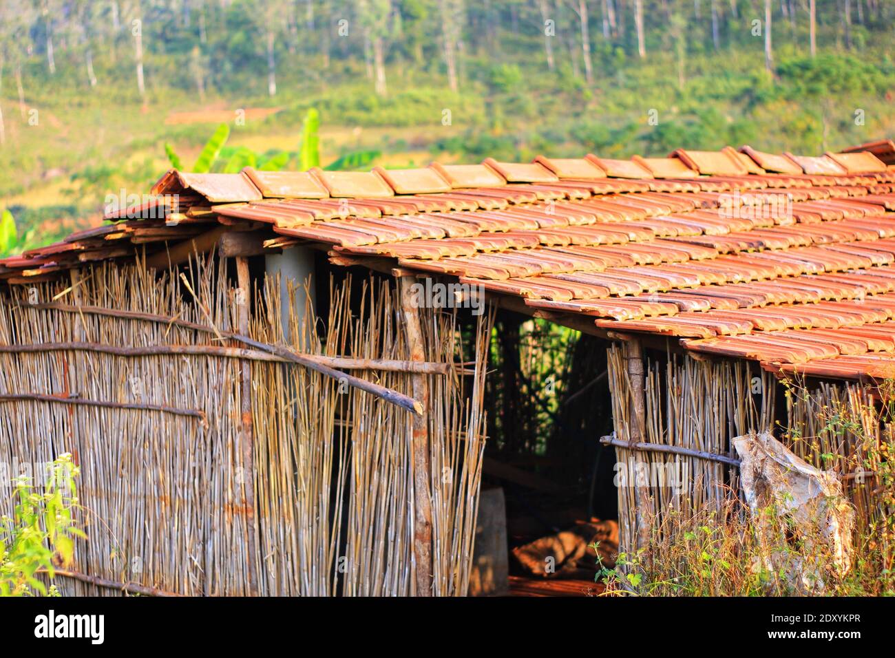 hut made by tribals in india Stock Photo - Alamy