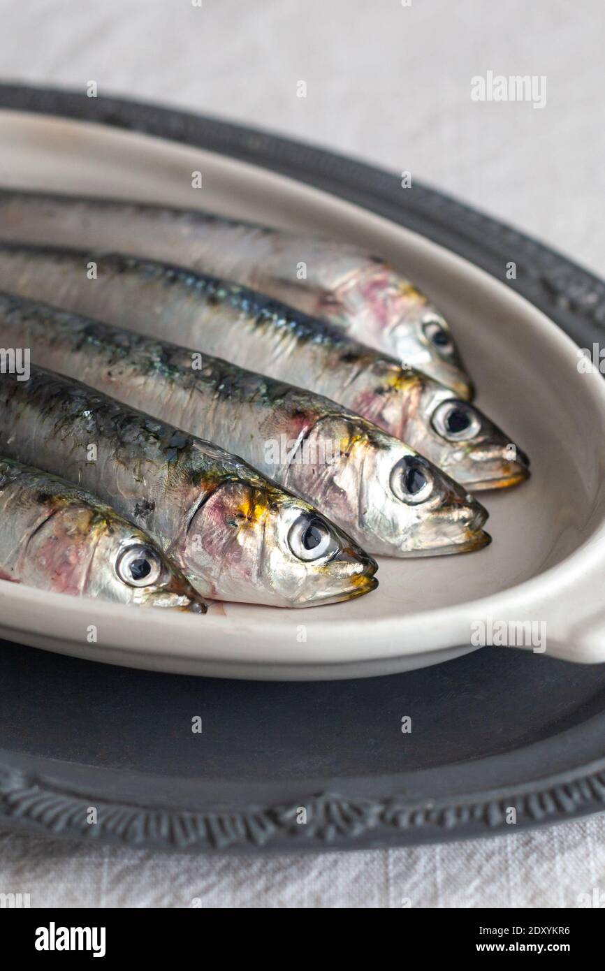 A close up picture of fresh, raw sardines on a white and grey plate ...