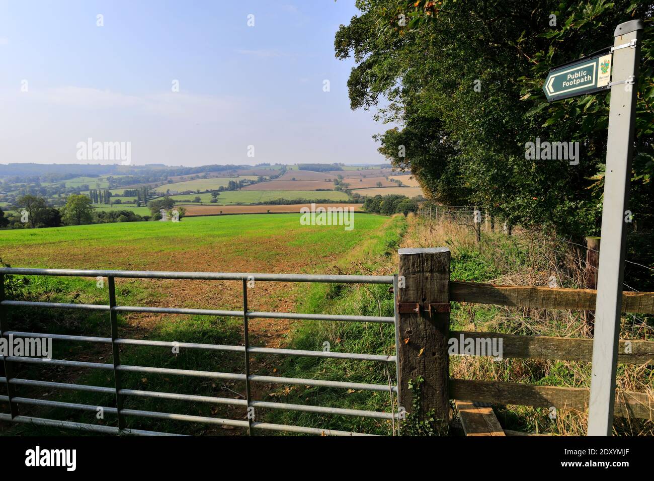 Summer view over fields near Uppingham Town, Rutland County, England ...