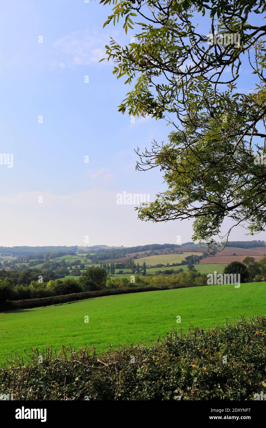 Uppingham walks hi-res stock photography and images - Alamy