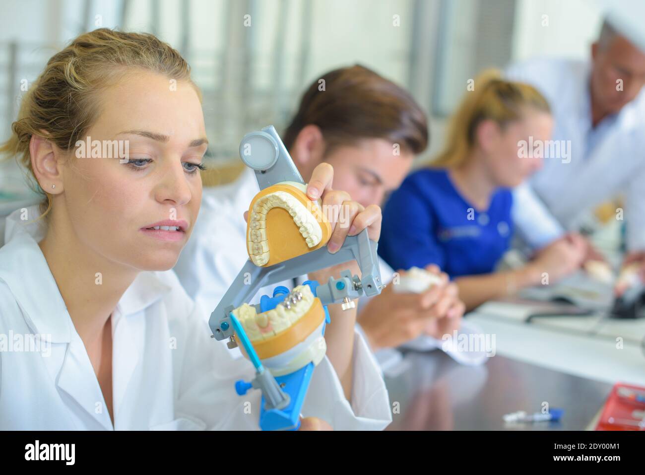 female worker at a dental laboratory Stock Photo - Alamy