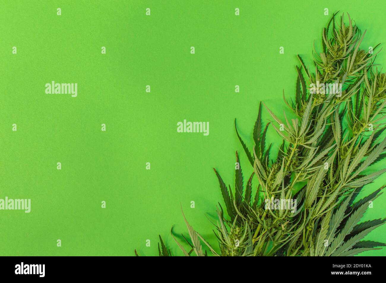 Recreational drug hi-res stock photography and images - Alamy