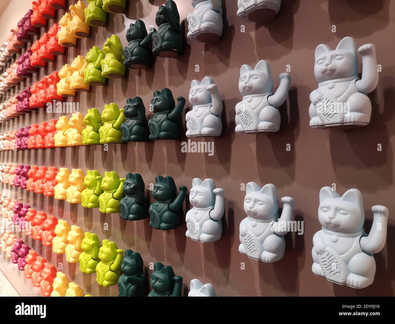 Multi cats hi-res stock photography and images - Alamy