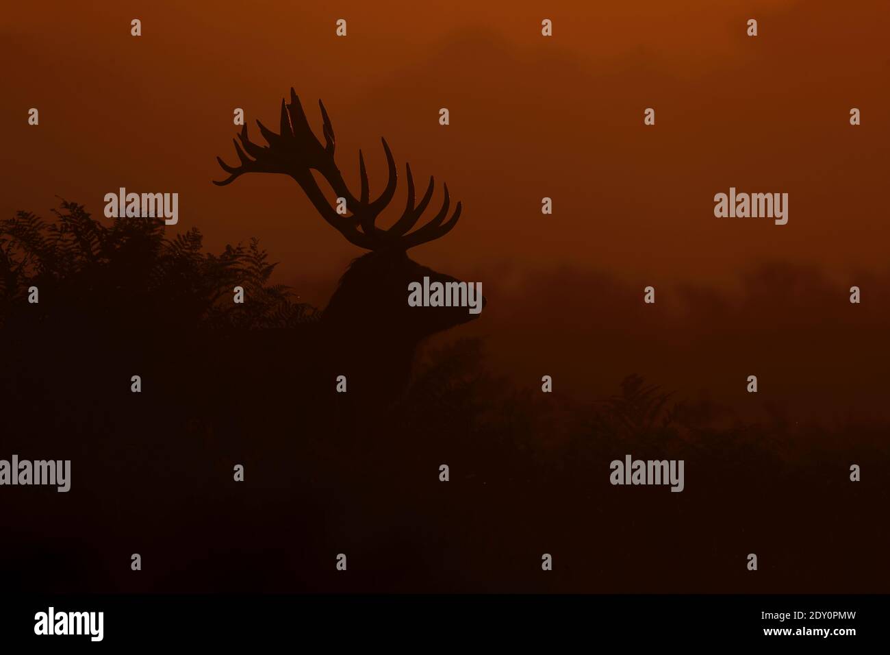 Crack themes hi-res stock photography and images - Alamy