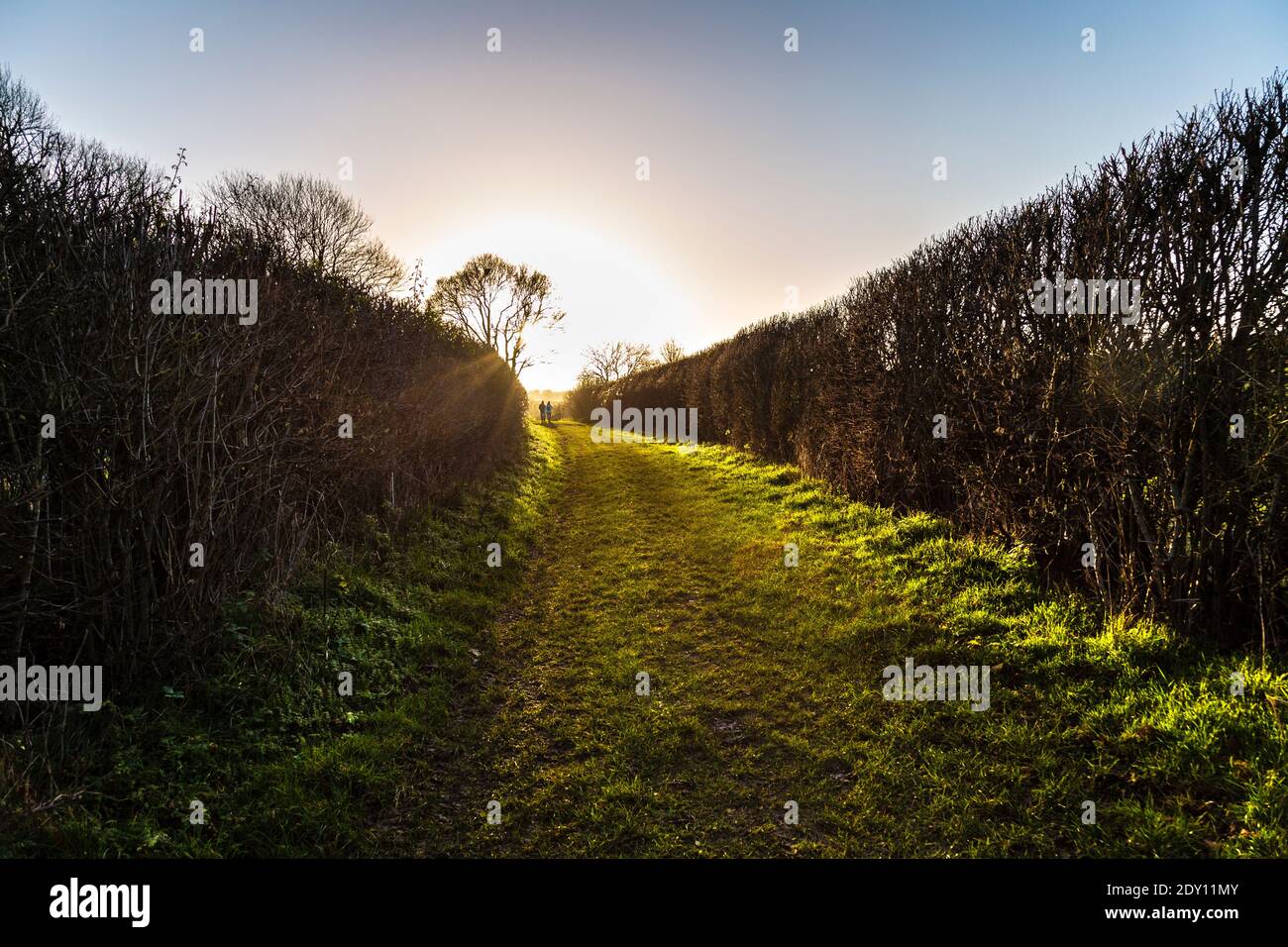 Little path hi-res stock photography and images - Alamy
