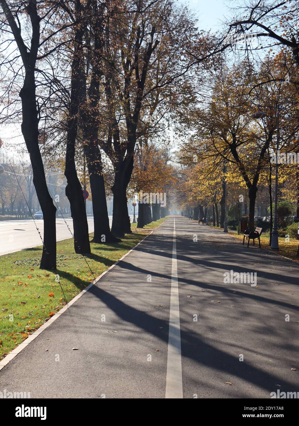 Vertical shot bicycle pathway hi-res stock photography and images - Alamy