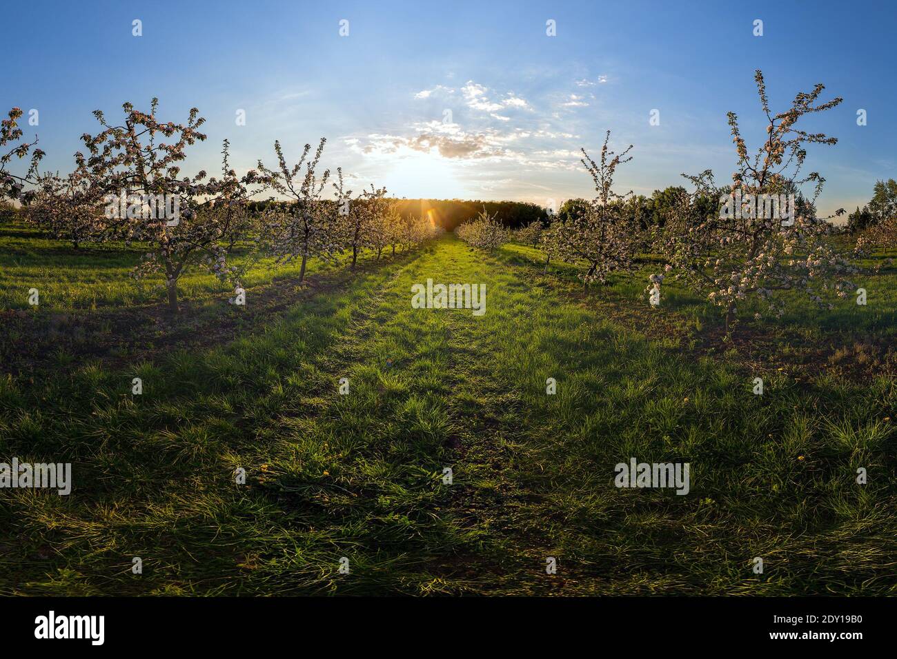 Equirectangular High Resolution Stock Photography and Images - Alamy