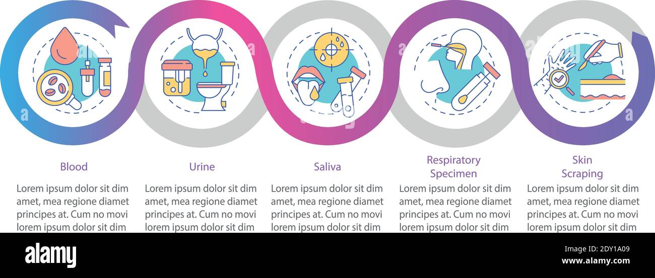 Lab specimens vector infographic template Stock Vector Image & Art - Alamy