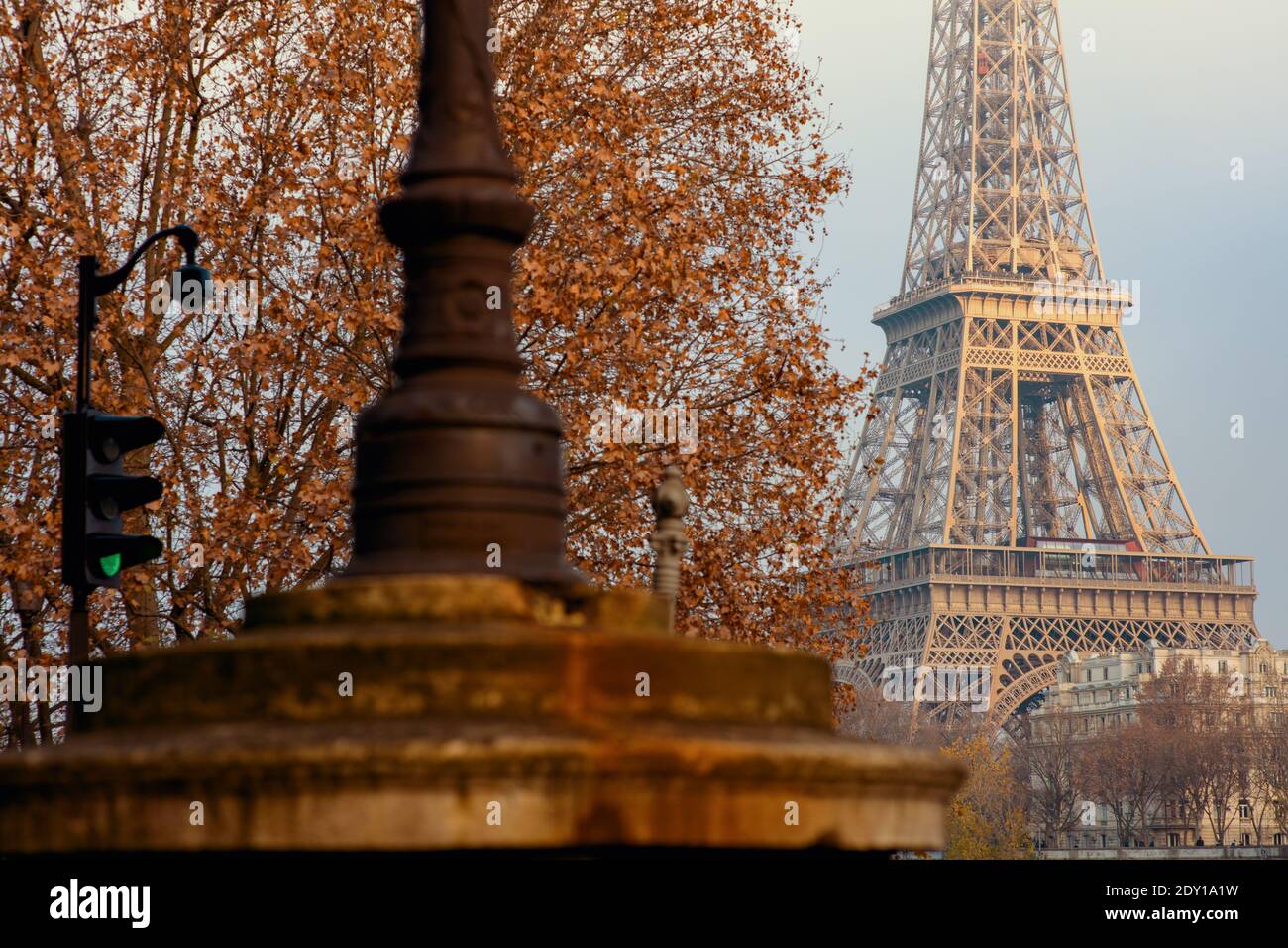 Eiffel Tower Landscape