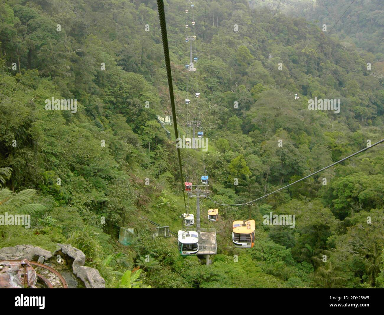 Cable car over rainforest hi-res stock photography and images - Alamy