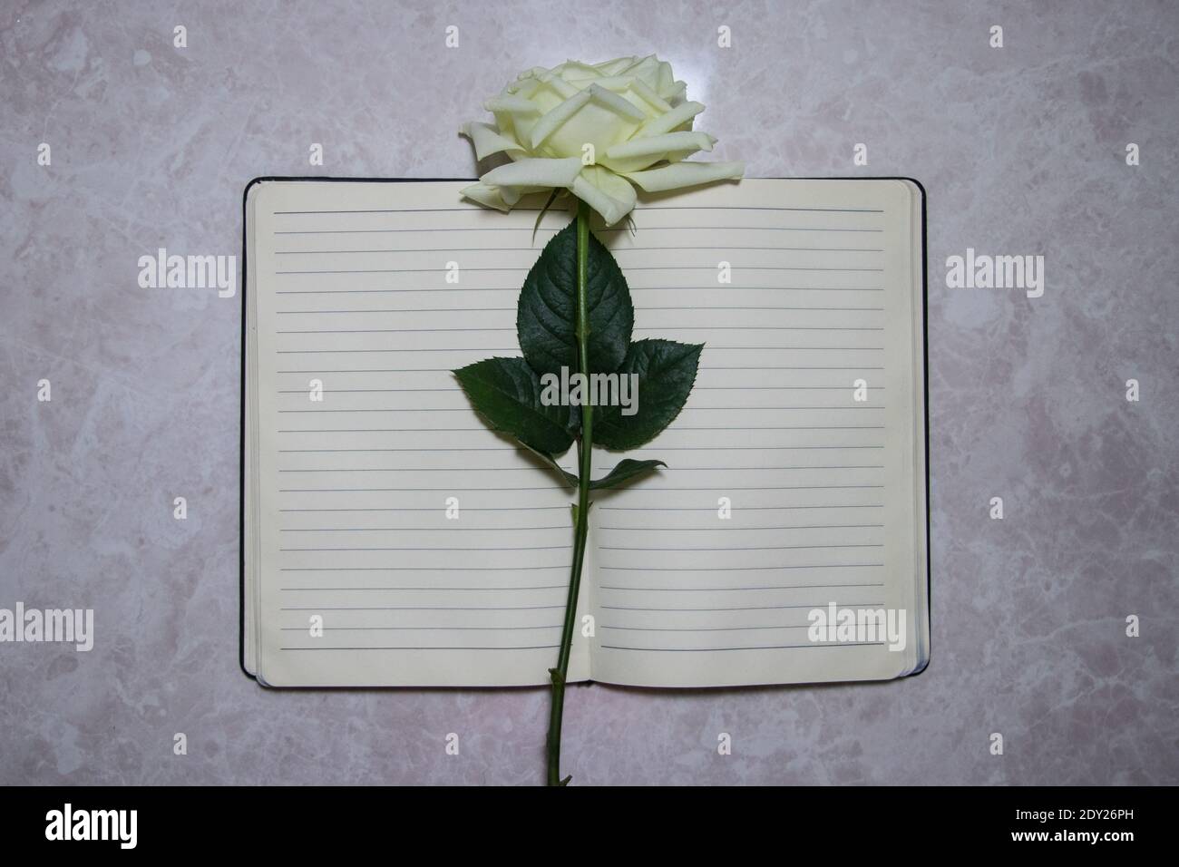 Office desk rose hi-res stock photography and images - Alamy