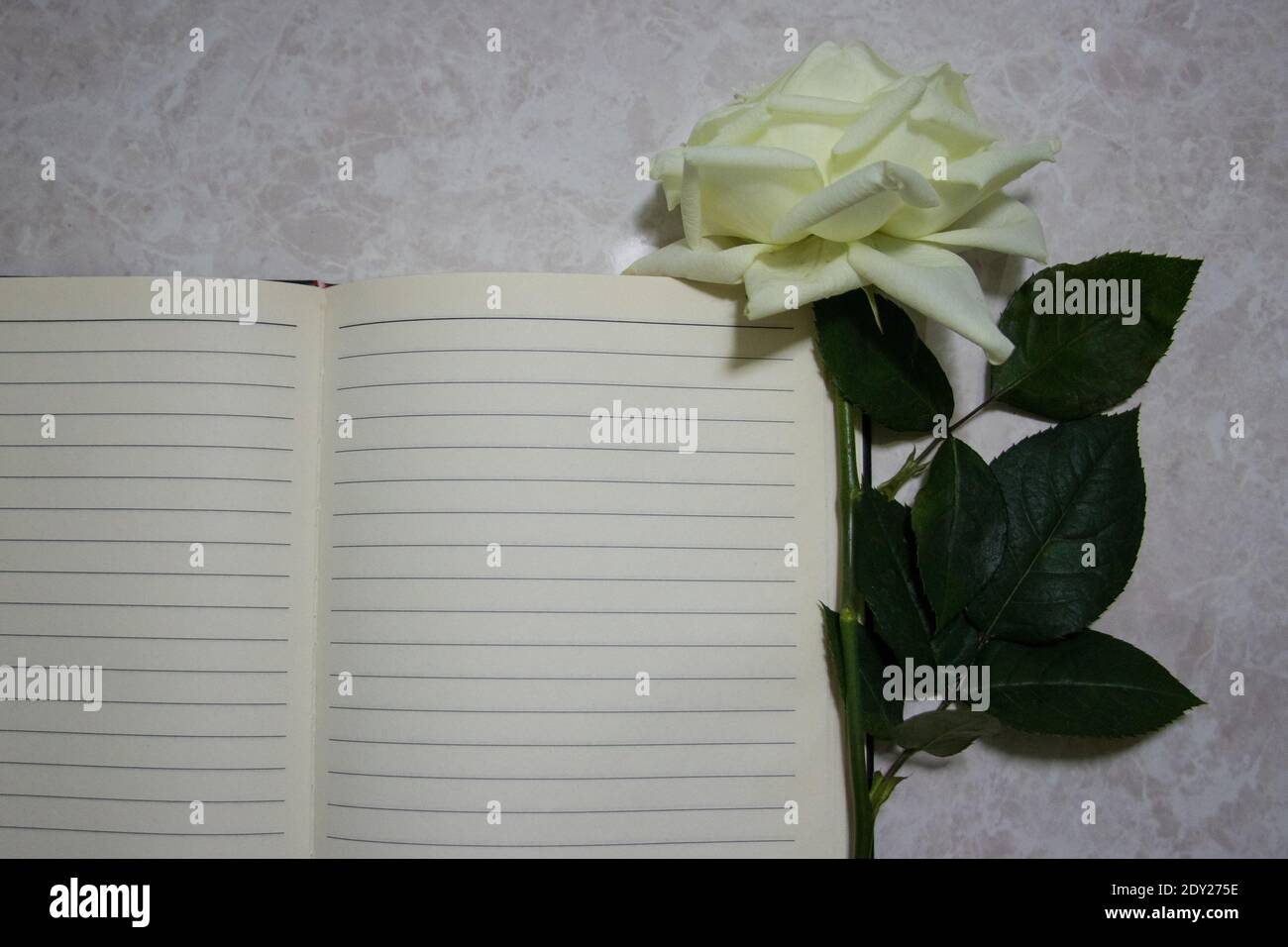 Office desk rose hi-res stock photography and images - Alamy