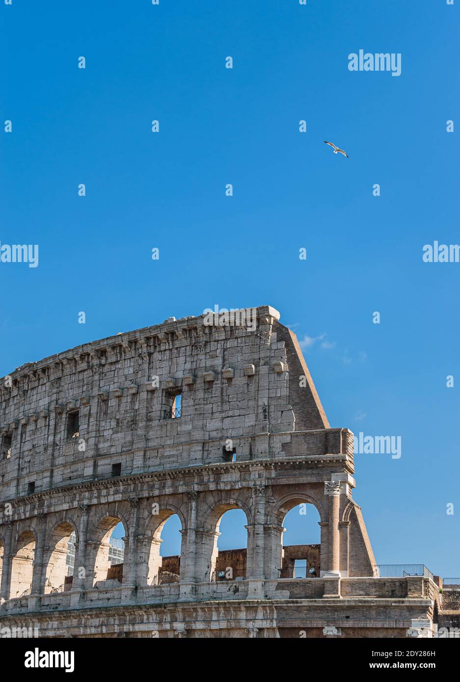 The famous Roman Coliseum on a sunny day in Rome, Italy Stock Photo - Alamy