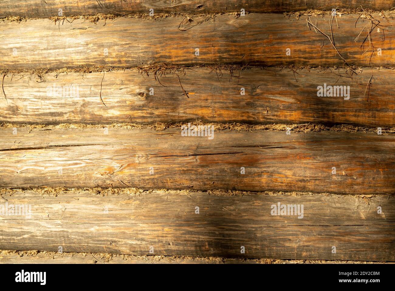Natural wood log wall background in evening light Stock Photo - Alamy