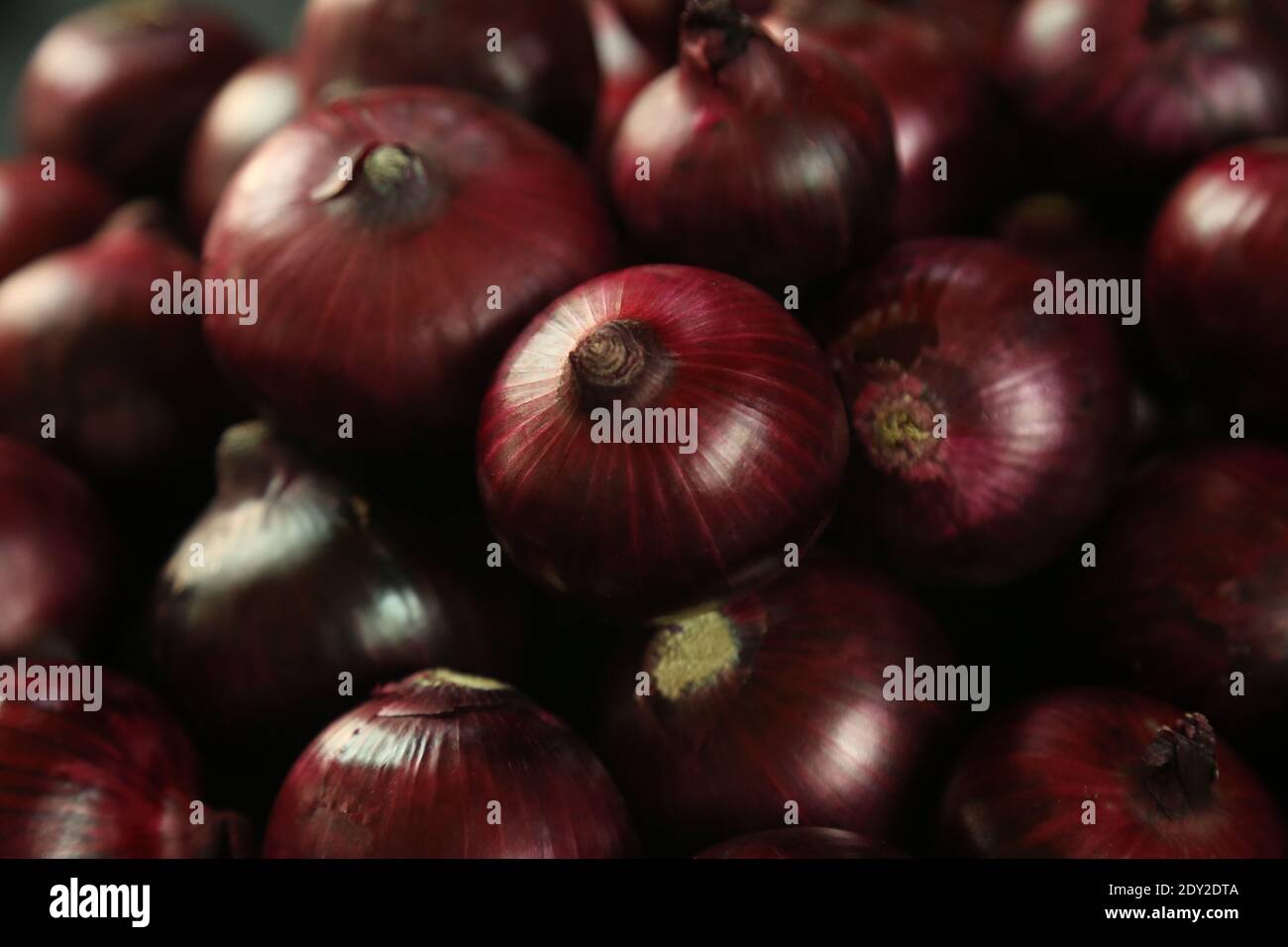 sweet red onions on background Stock Photo - Alamy