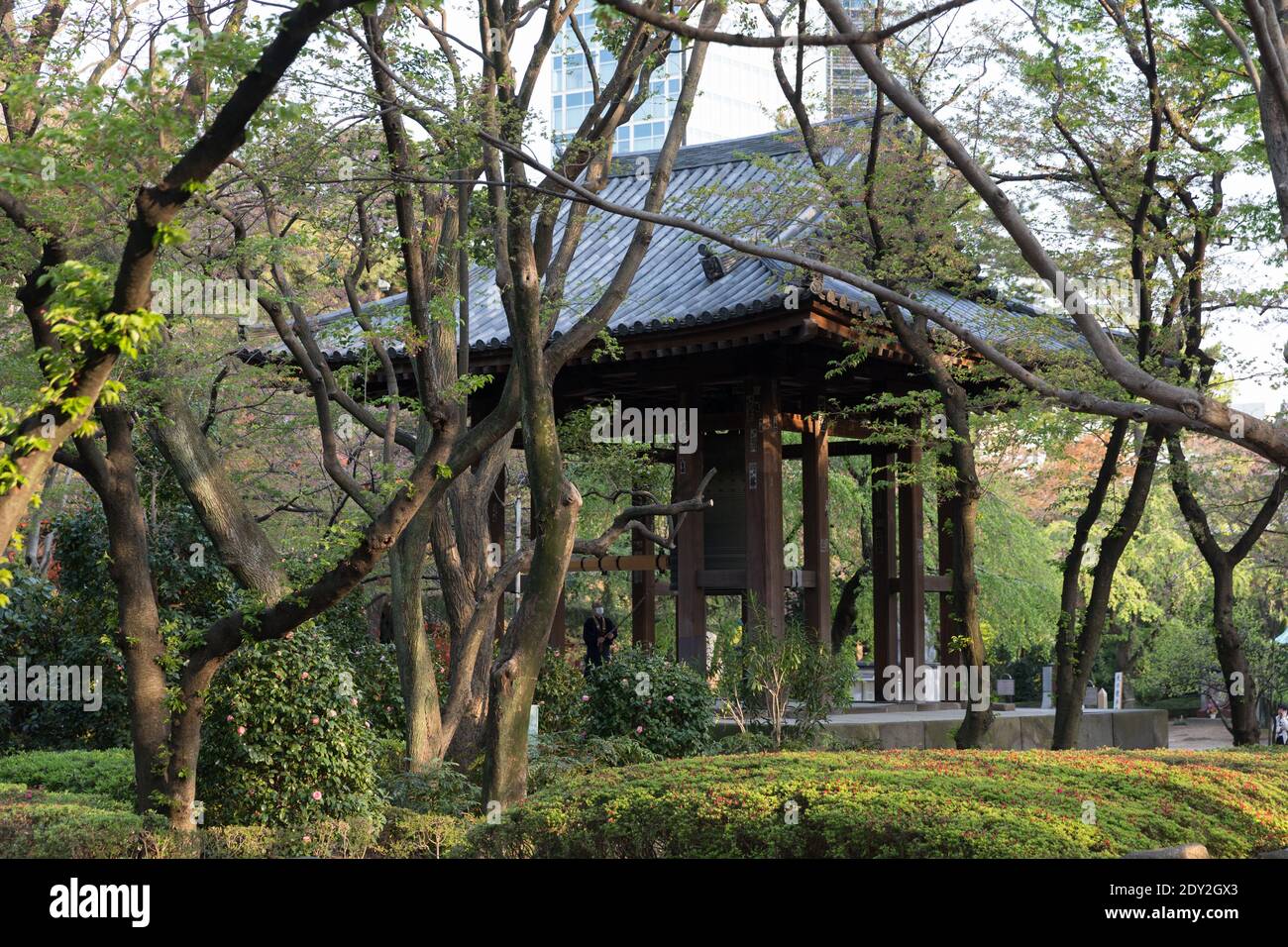 Tokyo, Japan : Bell Tower of The Chief Temple of the Jodo-Buddhist Sect ...