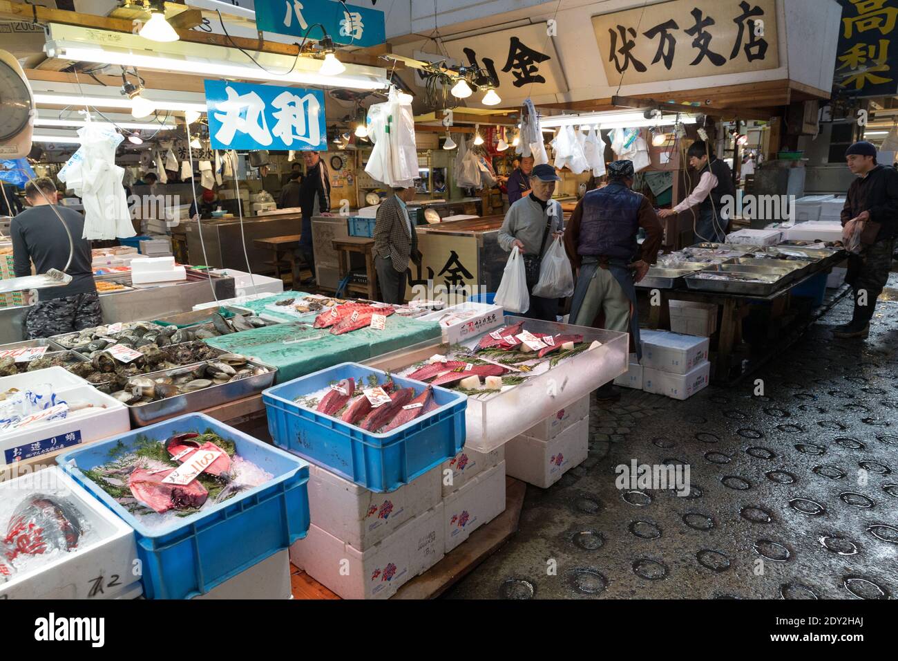Tokyo, Japan : Seafood on display for sale at a Tsukiji fish market ...