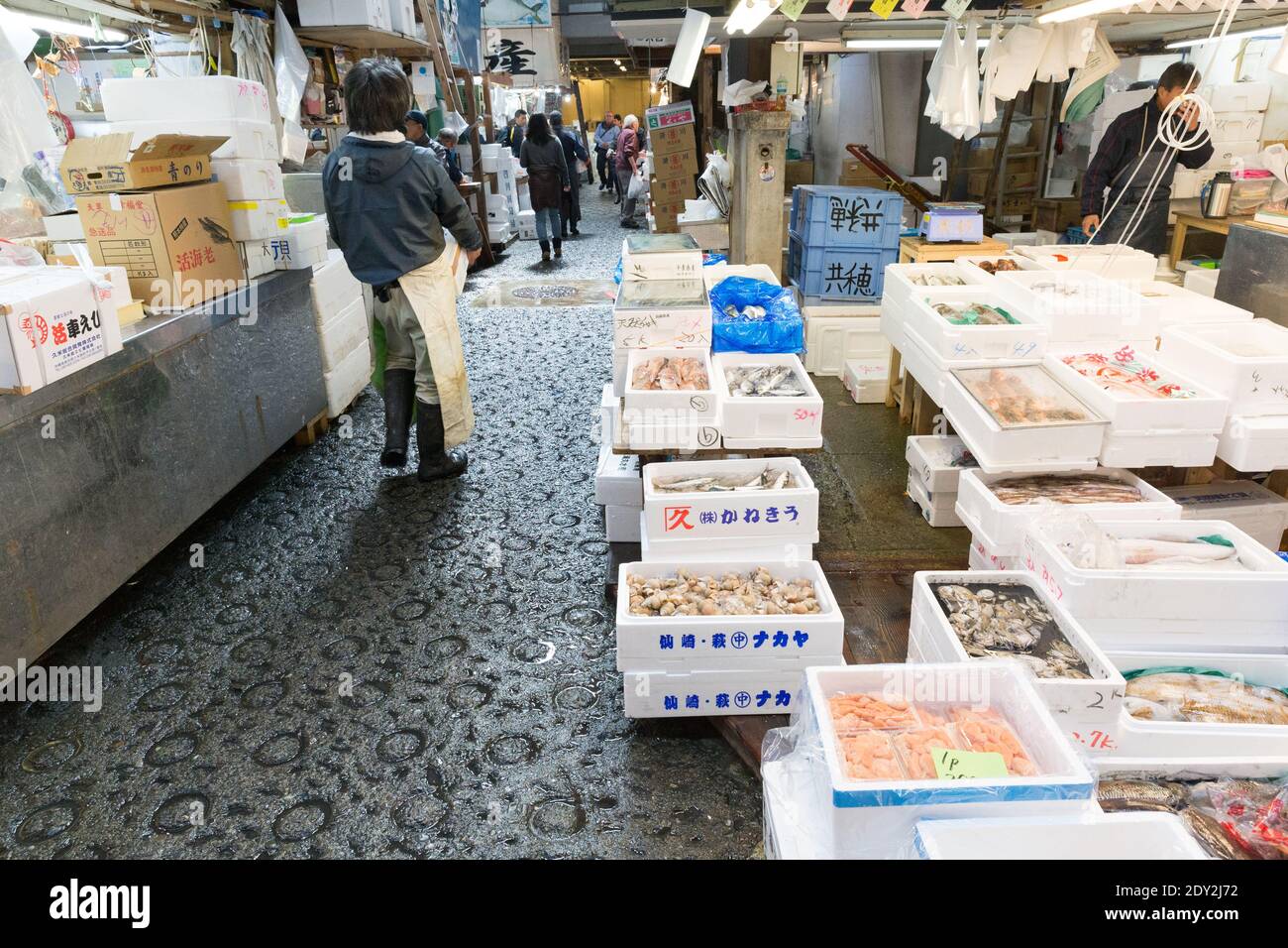 Tokyo, Japan : Seafood on display for sale at a Tsukiji fish market ...