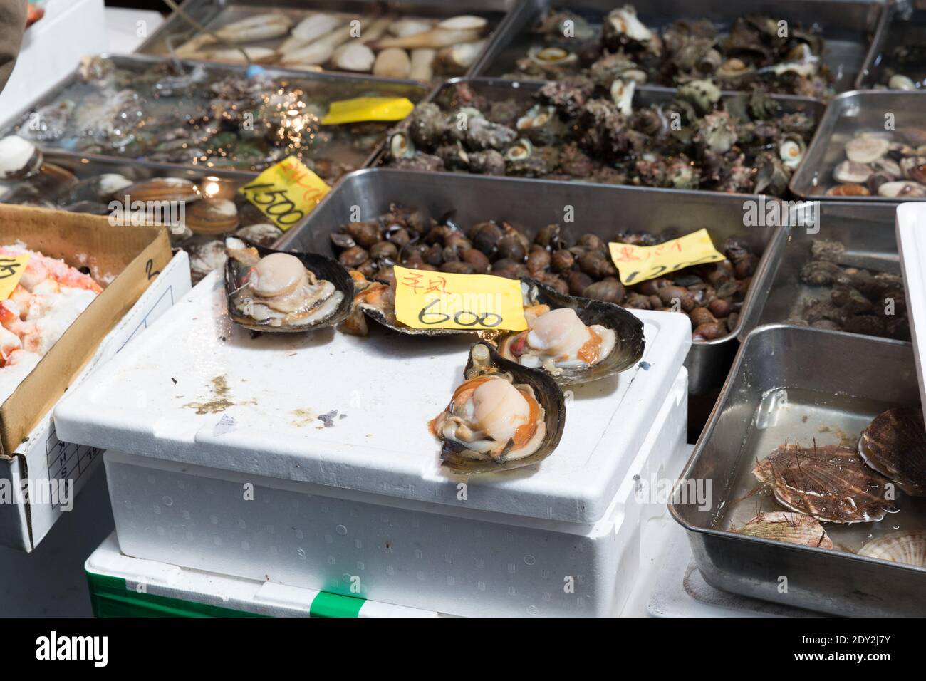 Tokyo, Japan : Oysters and other shellfish on display for sale at a ...