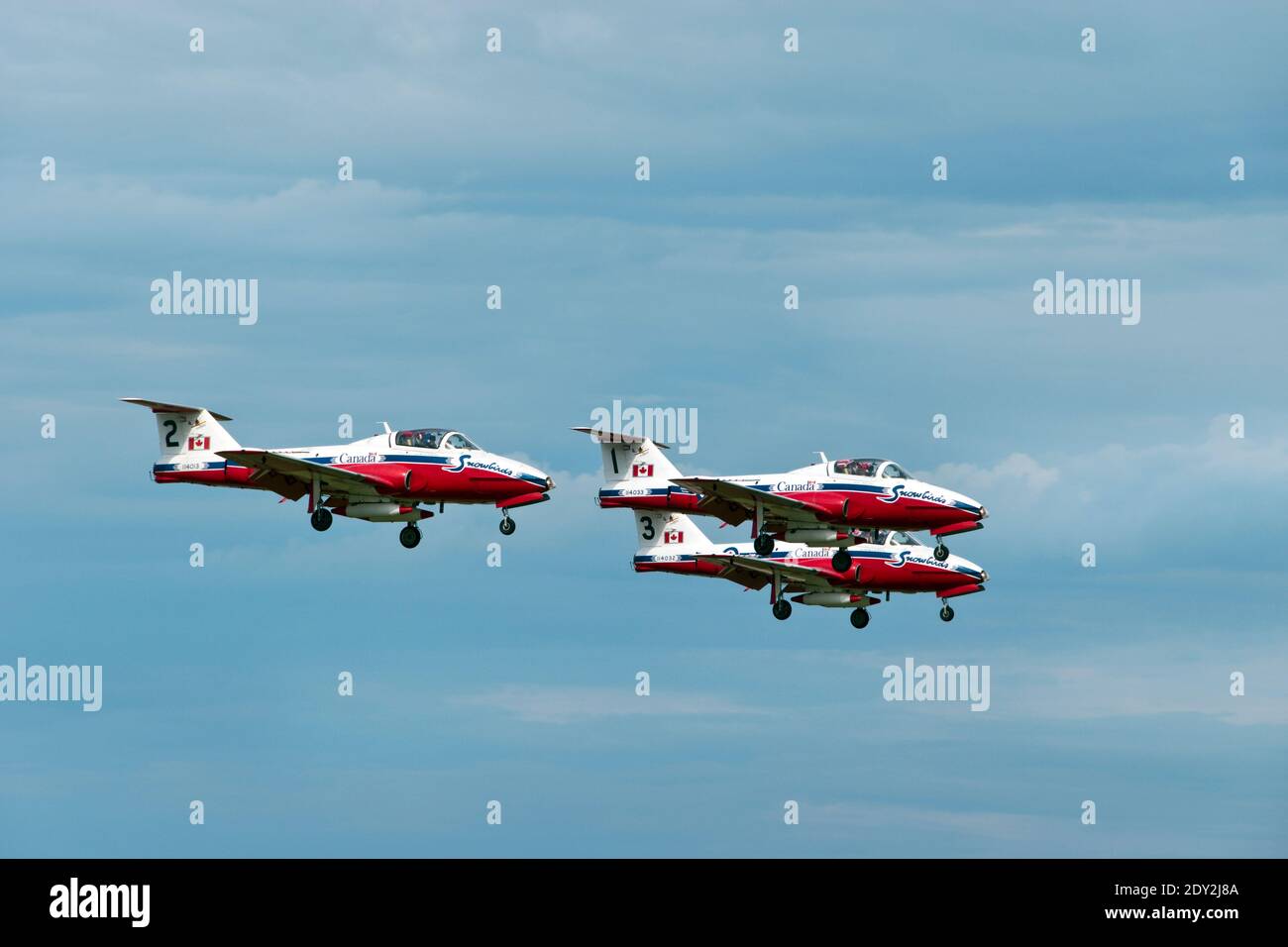 The Canadian Snowbirds, Canada's military air show flight demonstration ...