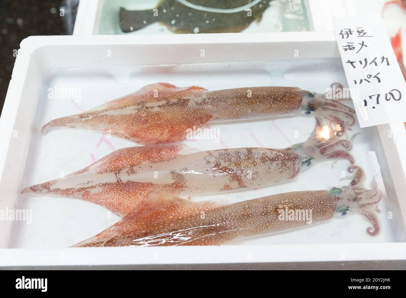 Tokyo, Japan : Japan Tokyo Squid on display for sale at a Tsukiji fish ...