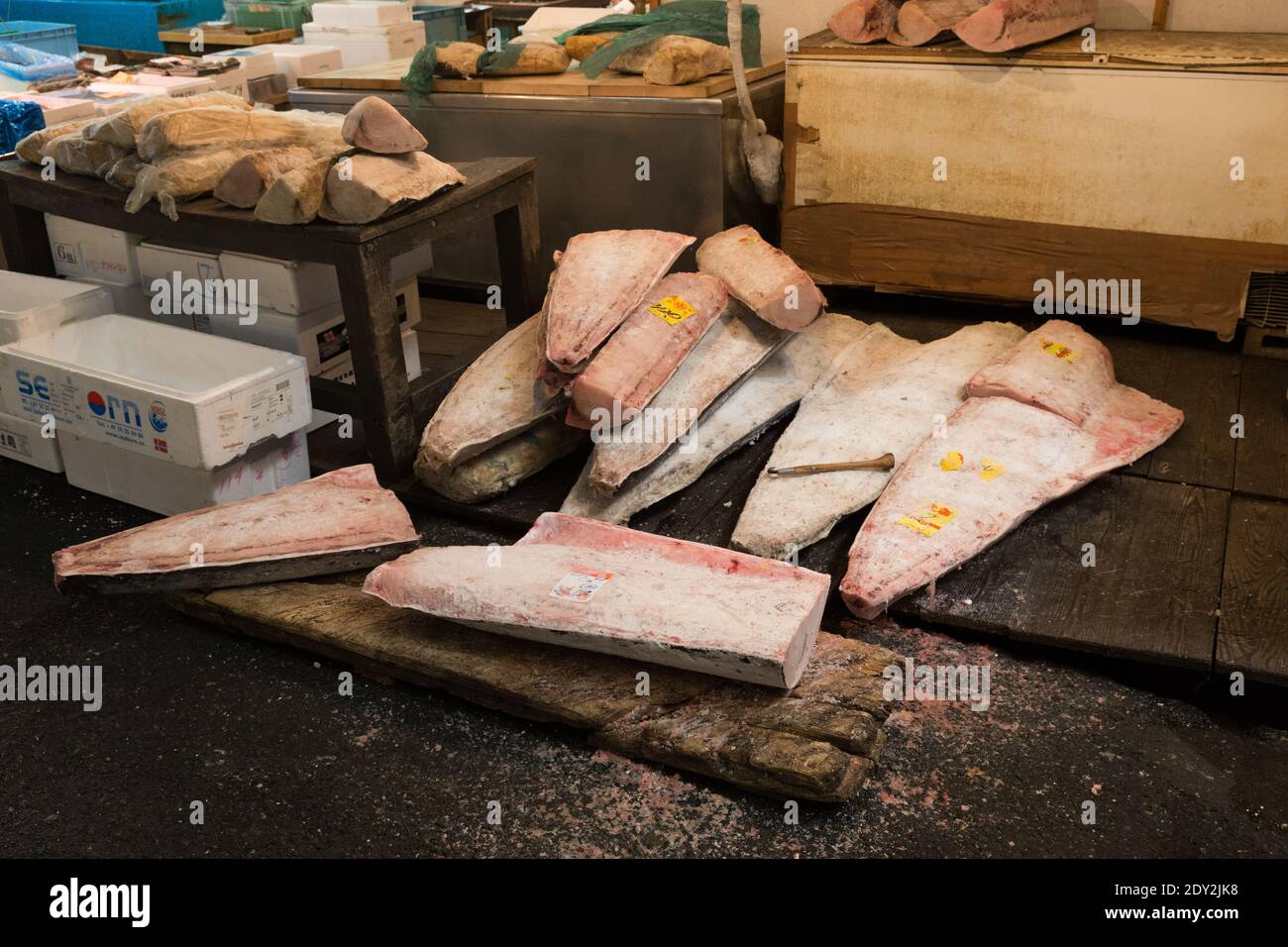 Tokyo, Japan : Frozen Tuna on display for sale at a Tsukiji fish market ...