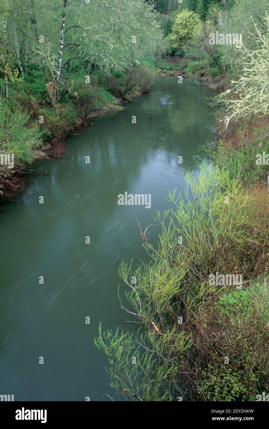 Nehalem River, Clatsop County, Oregon Stock Photo - Alamy