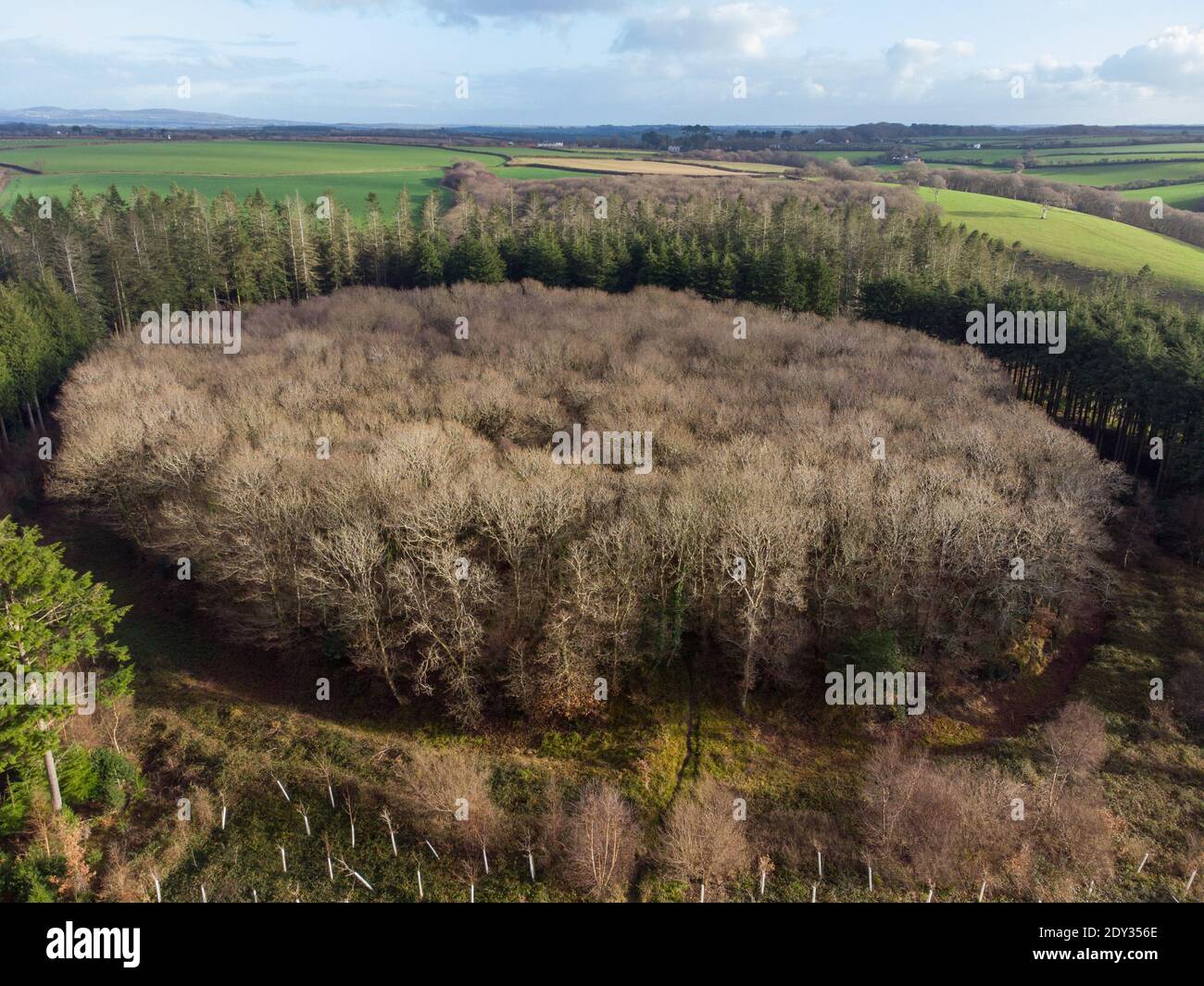 Iron Age fort in idless woods cornwall England uk aerial drone near ...