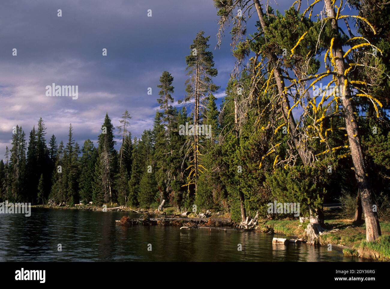 Diamond Lake, Rogue-Umpqua National Scenic Byway, Umpqua National ...