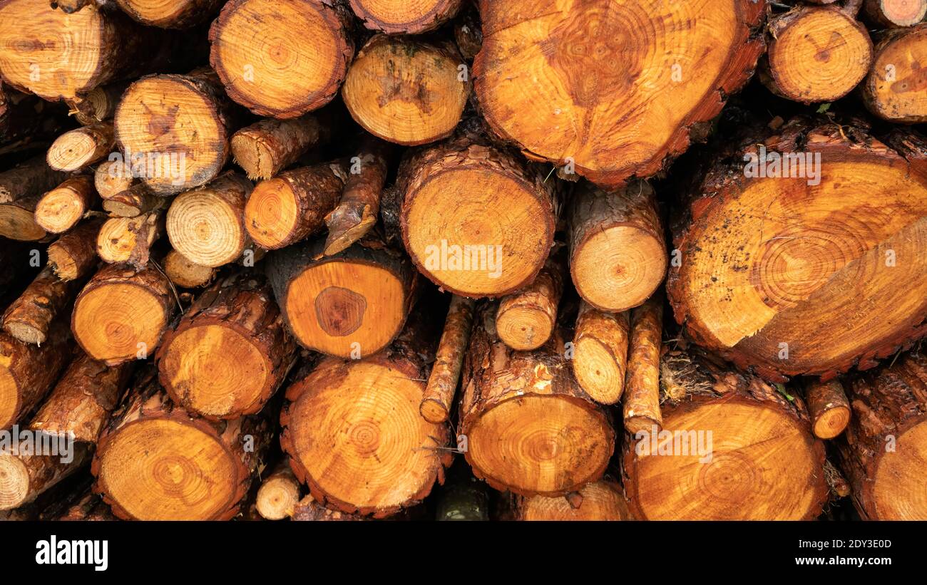 A closeup of firewood texture background Stock Photo - Alamy