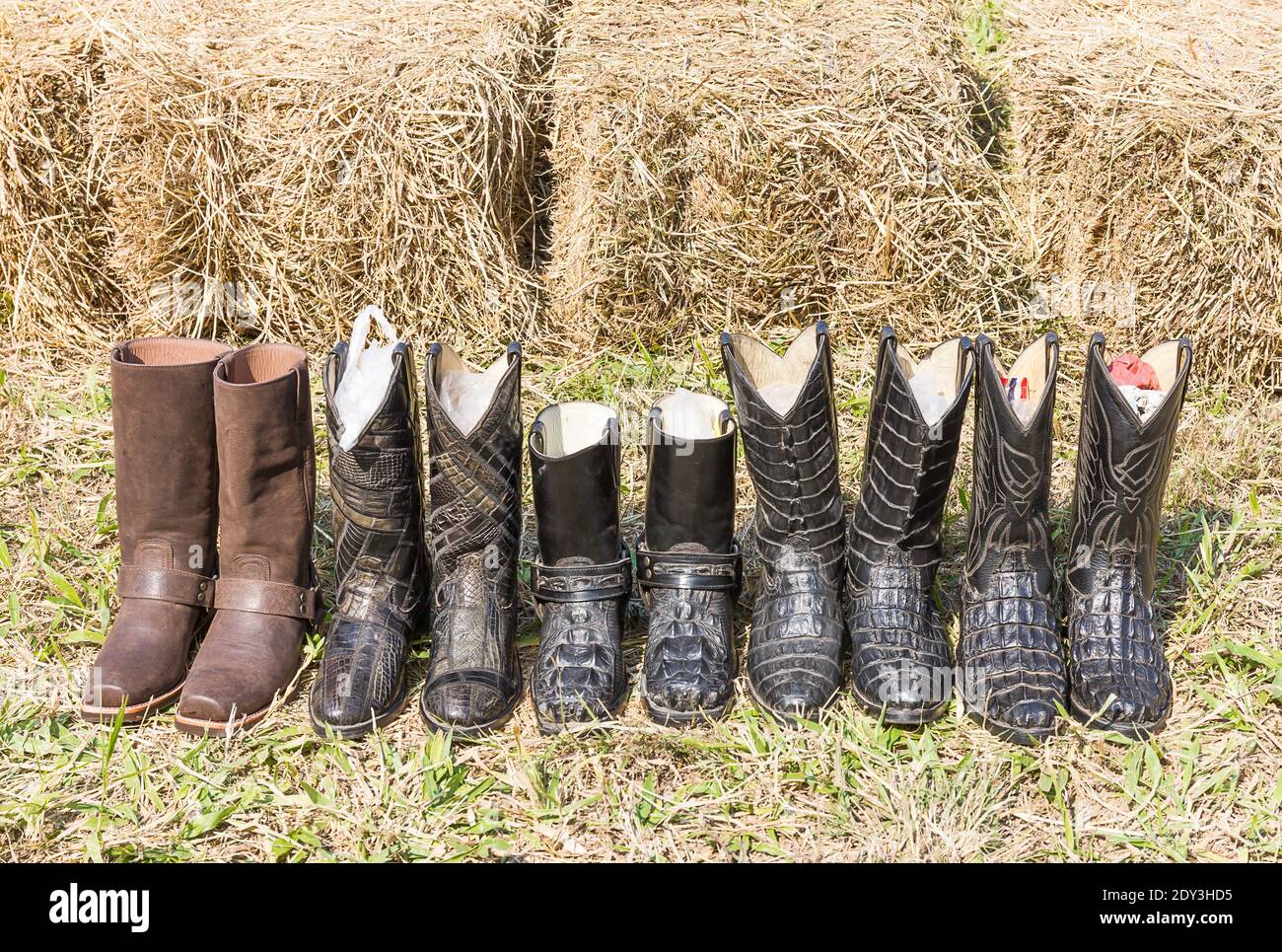 Growing up cowboy hi-res stock photography and images - Alamy
