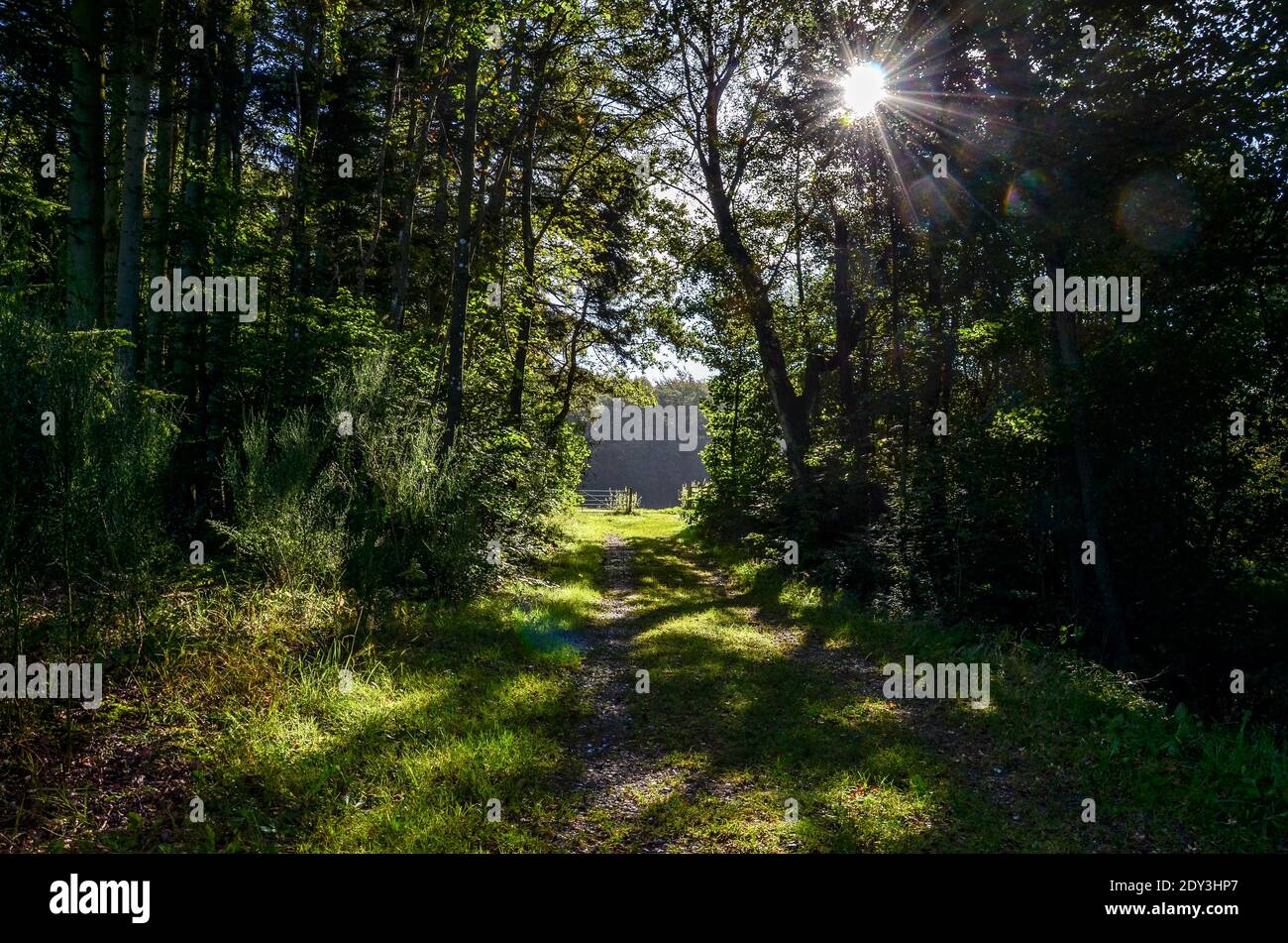 Elling denmark hi-res stock photography and images - Alamy