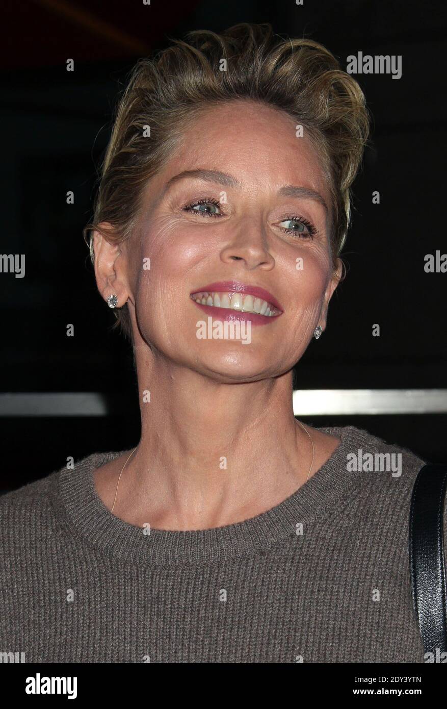 Sharon Stone, The Hollywood Film Festival, Opening Night Gala at the ...