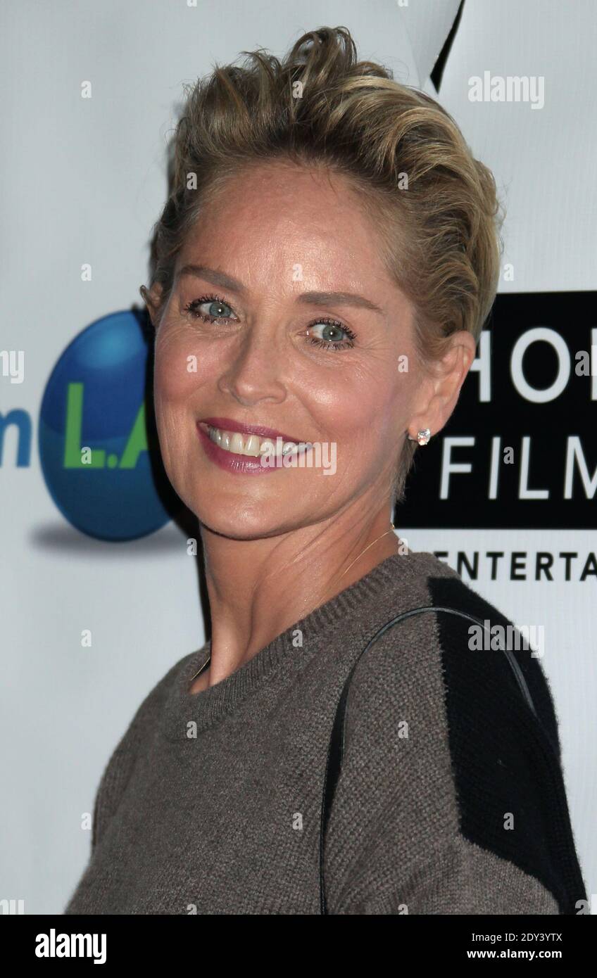 Sharon Stone, The Hollywood Film Festival, Opening Night Gala at the ...