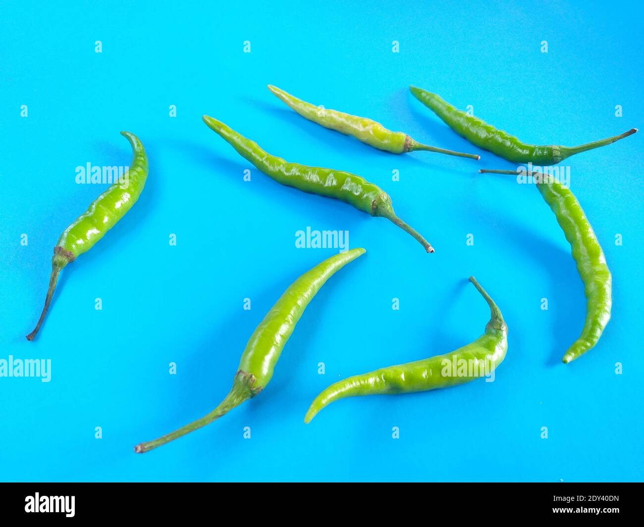 Shark blue background hi-res stock photography and images - Alamy