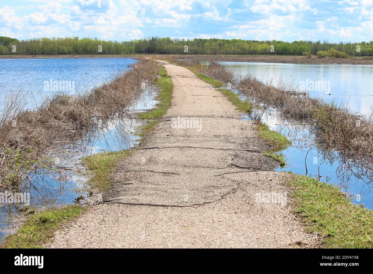 A walking path through a bird wetland Stock Photo - Alamy
