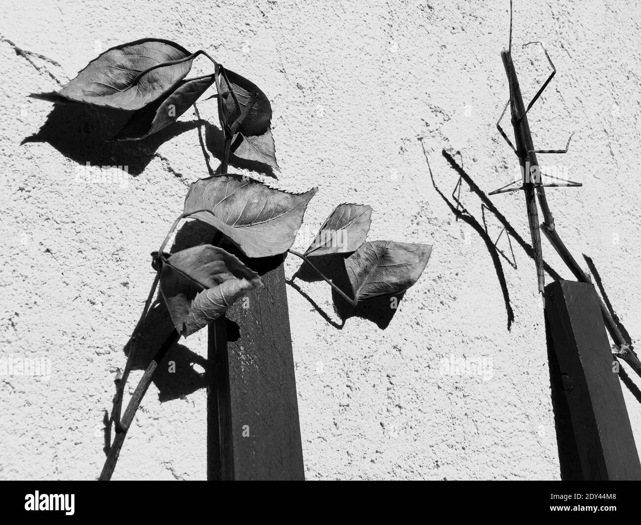 People sitting shadow wall Black and White Stock Photos & Images - Alamy