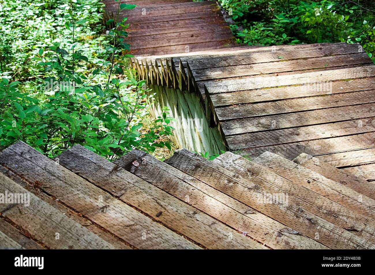 Closeup of wooden steps on a hiking trail Stock Photo - Alamy