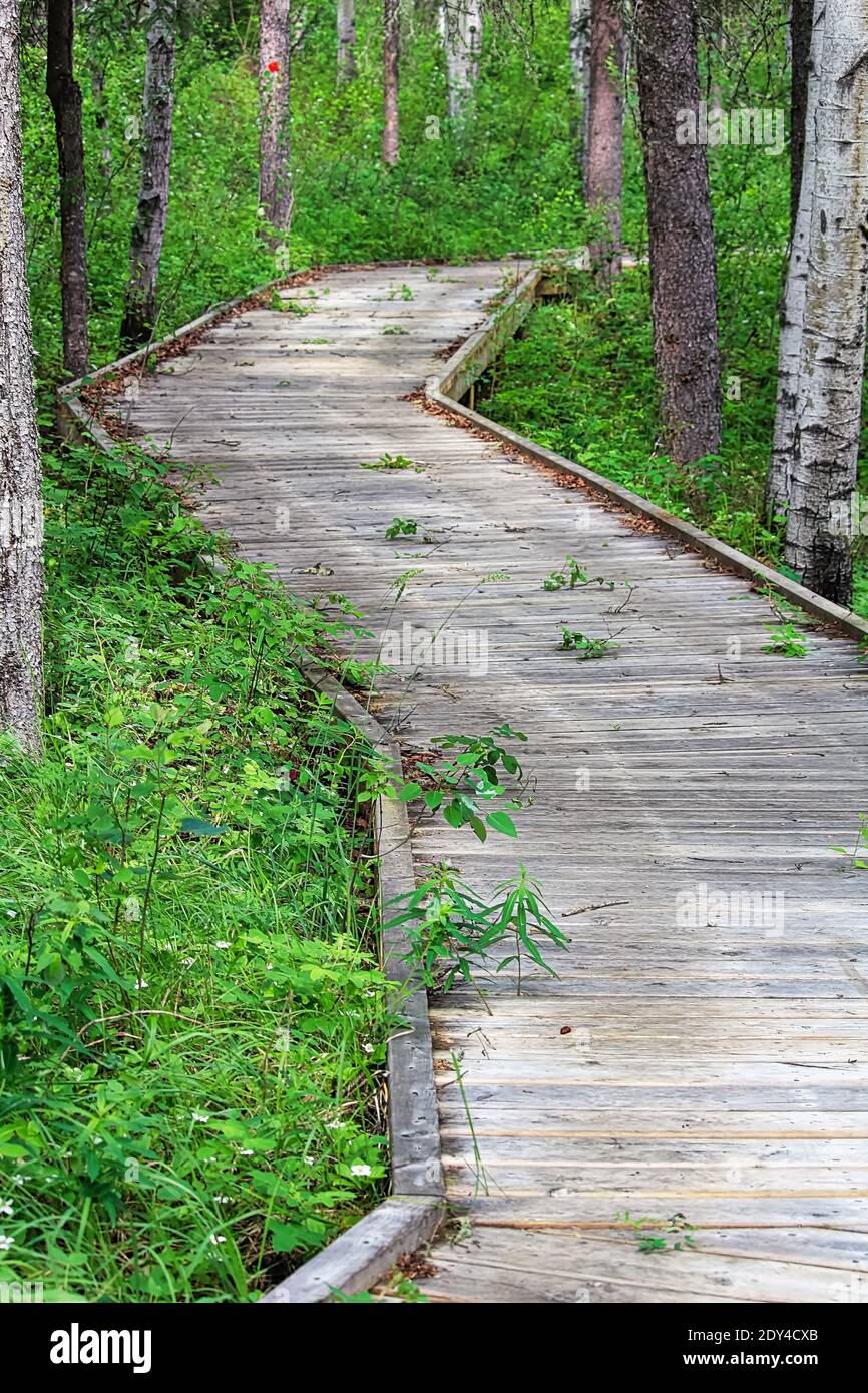 Protecting floor hi-res stock photography and images - Alamy