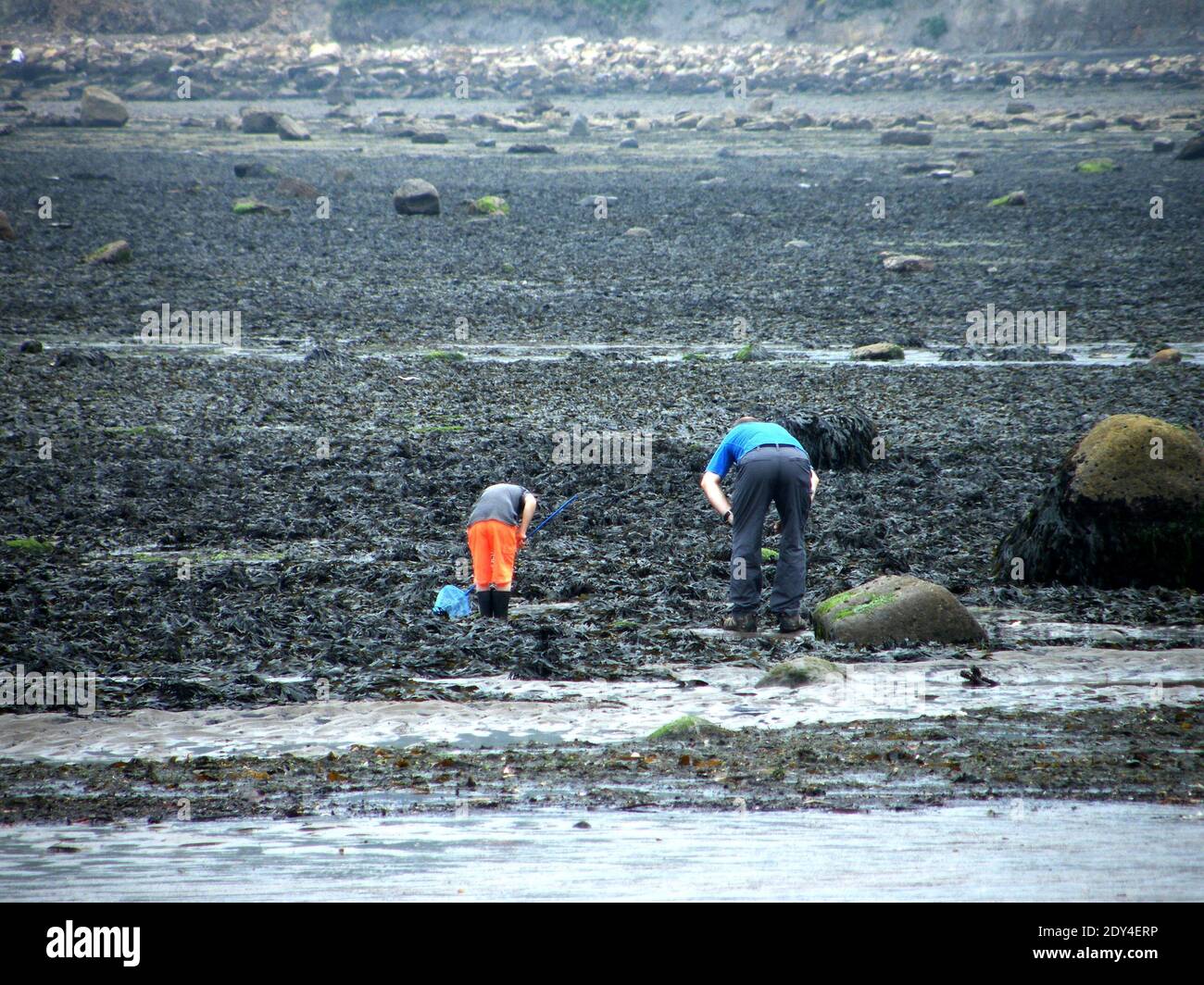Exploring rockpools hi-res stock photography and images - Alamy
