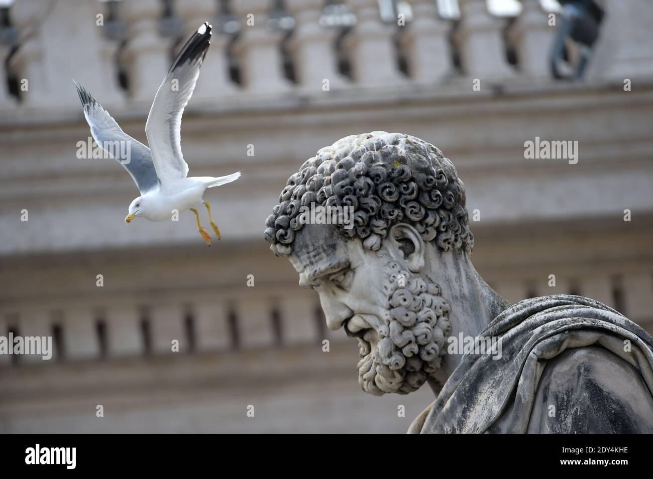 A seagull is on the statue of Saint Peter as pope Francis attends the ...