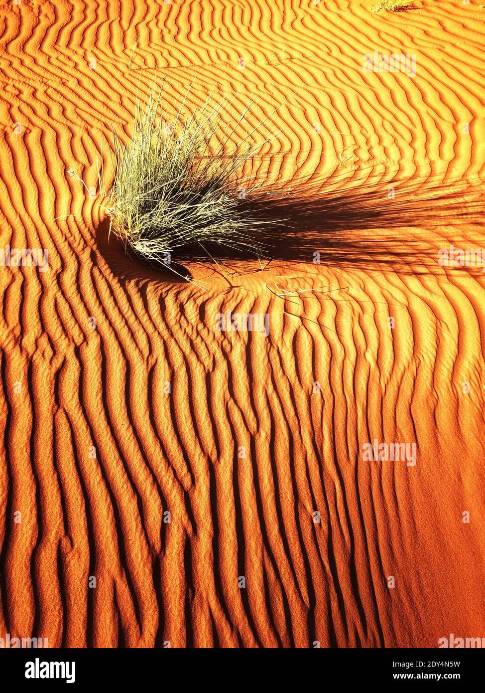 Resilience abstract hi-res stock photography and images - Alamy