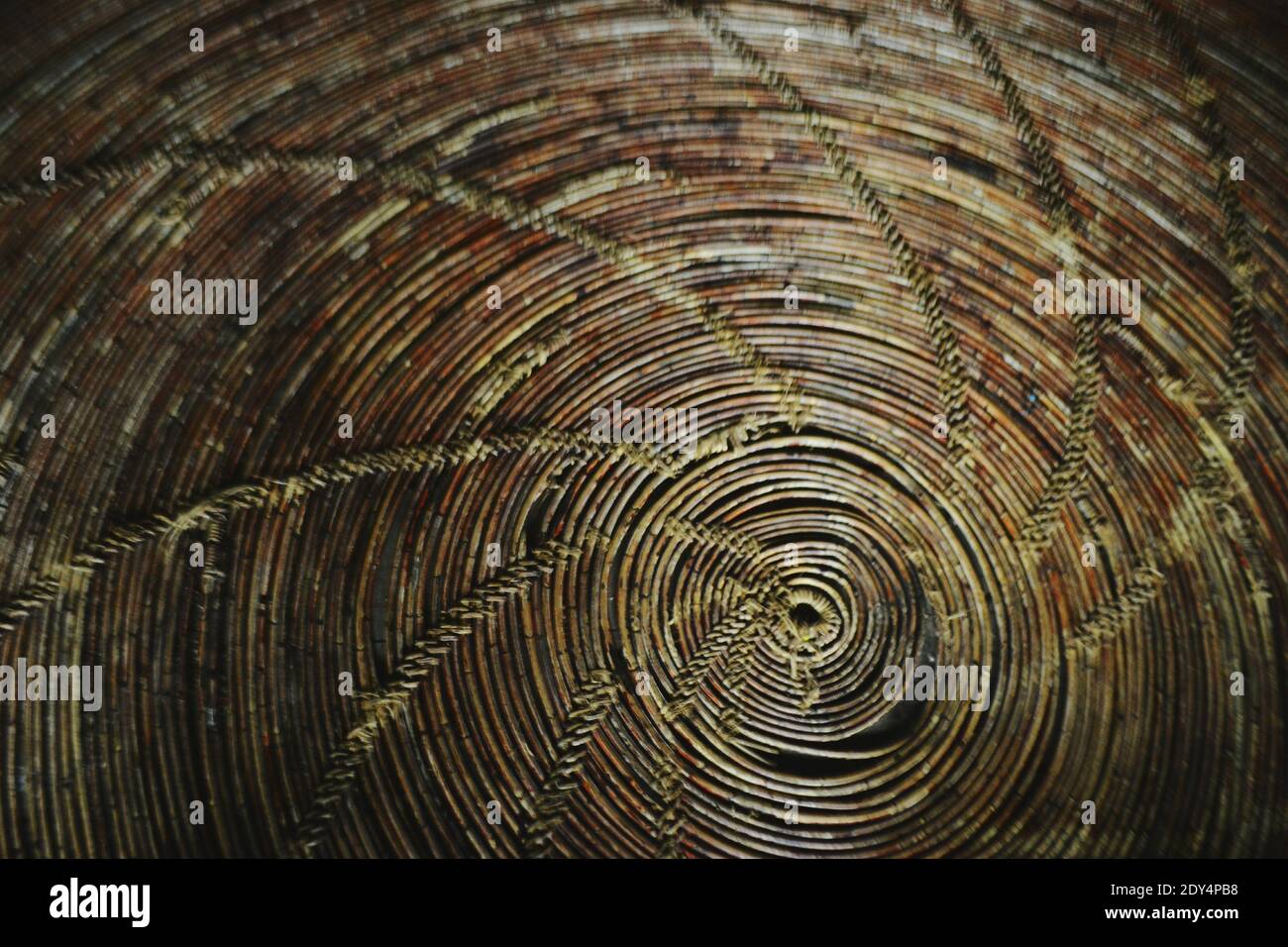 Spiral Pattern Tree Bark High Resolution Stock Photography and Images ...