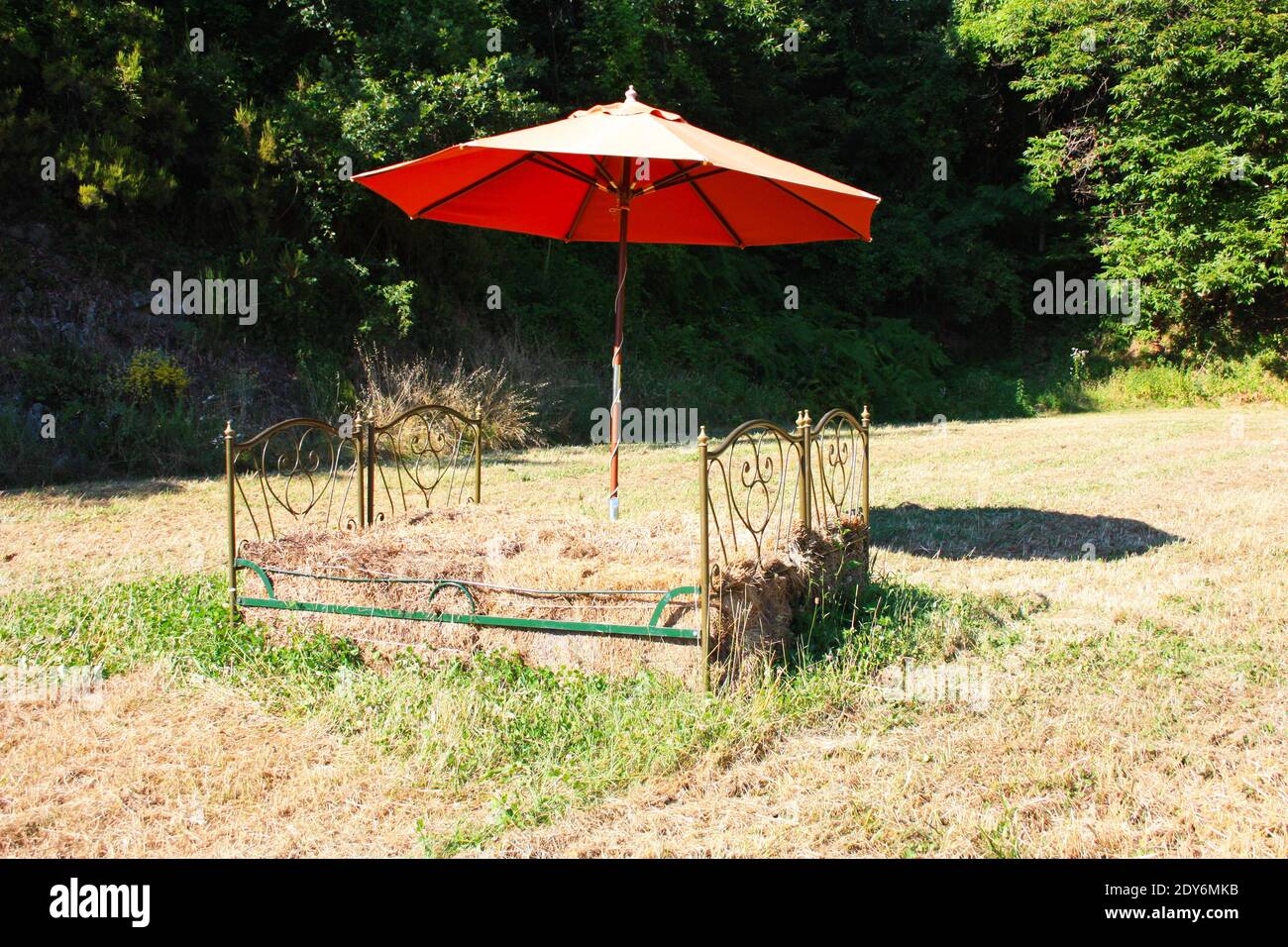Straw bed under hi-res stock photography and images - Alamy