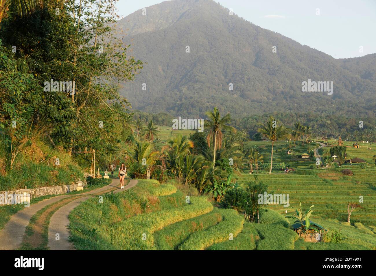 Women walking rice fields hi-res stock photography and images - Alamy