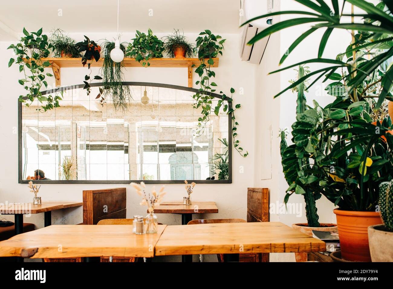 Minimal vintage green interior hi-res stock photography and images - Alamy