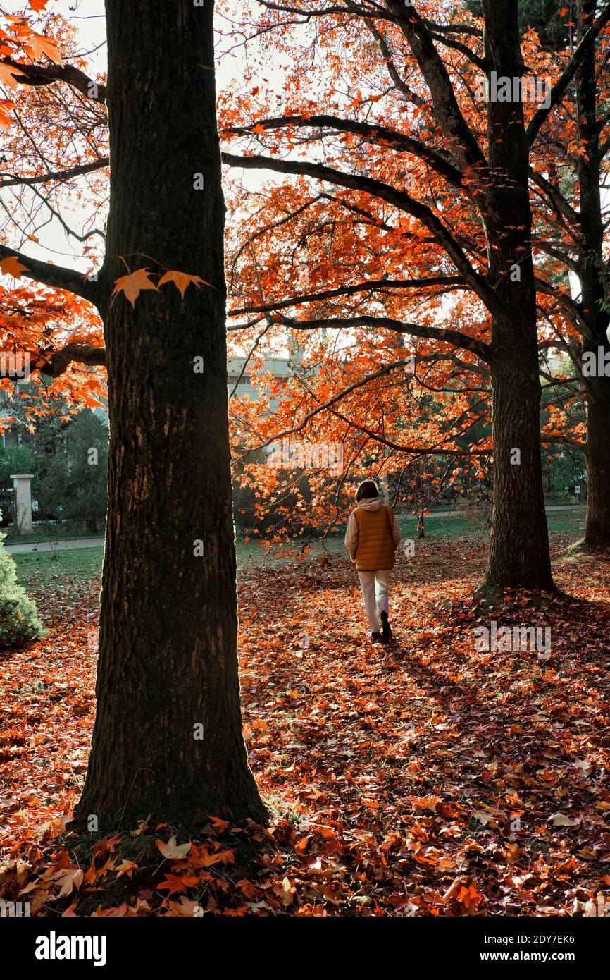 Woman walking in park at autumn time Stock Photo - Alamy