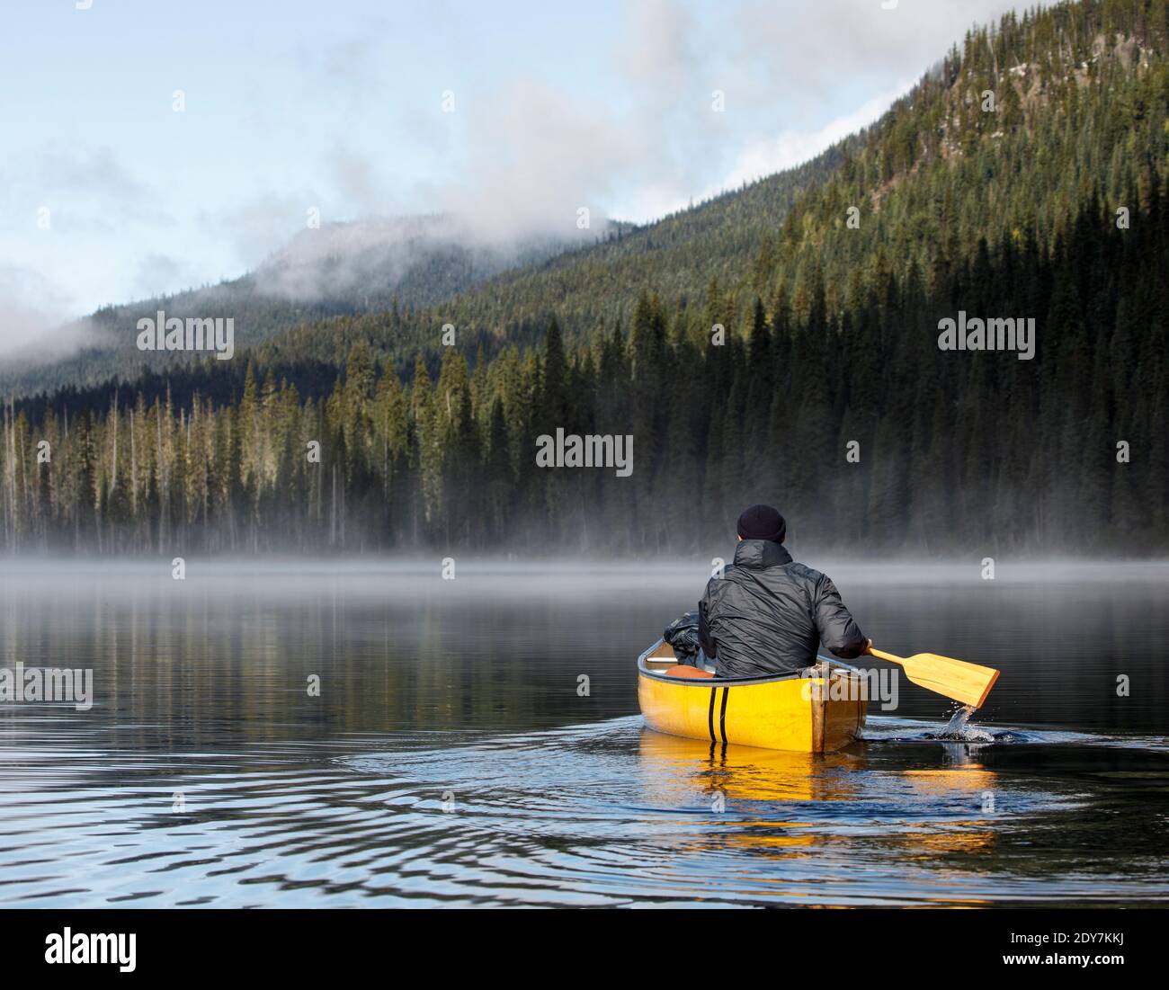 Back view of man paddling boat on calm misty lake in Canada Stock Photo ...