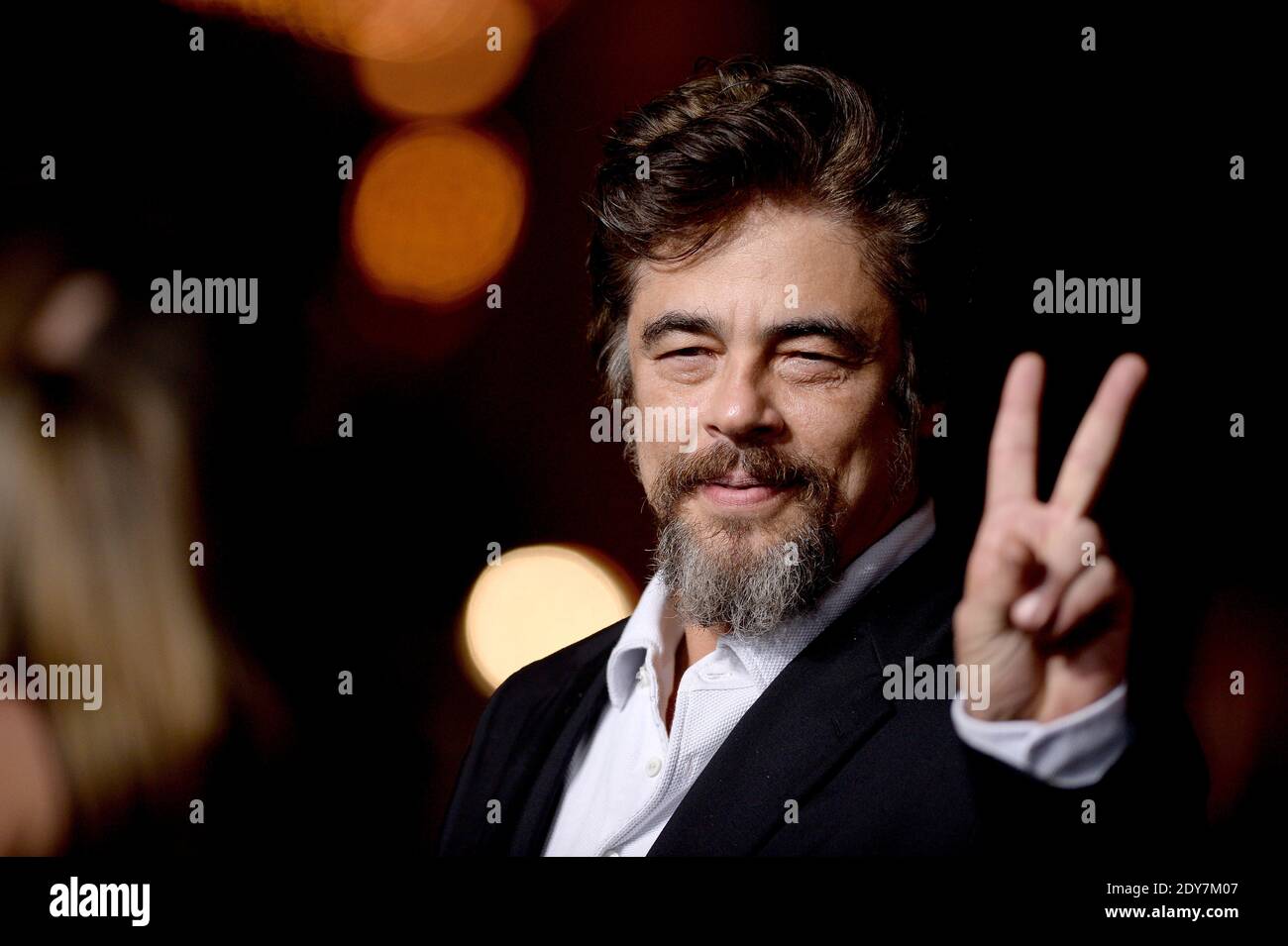 Benicio Del Toro attends the premiere of Warner Bros. Pictures Inherent ...