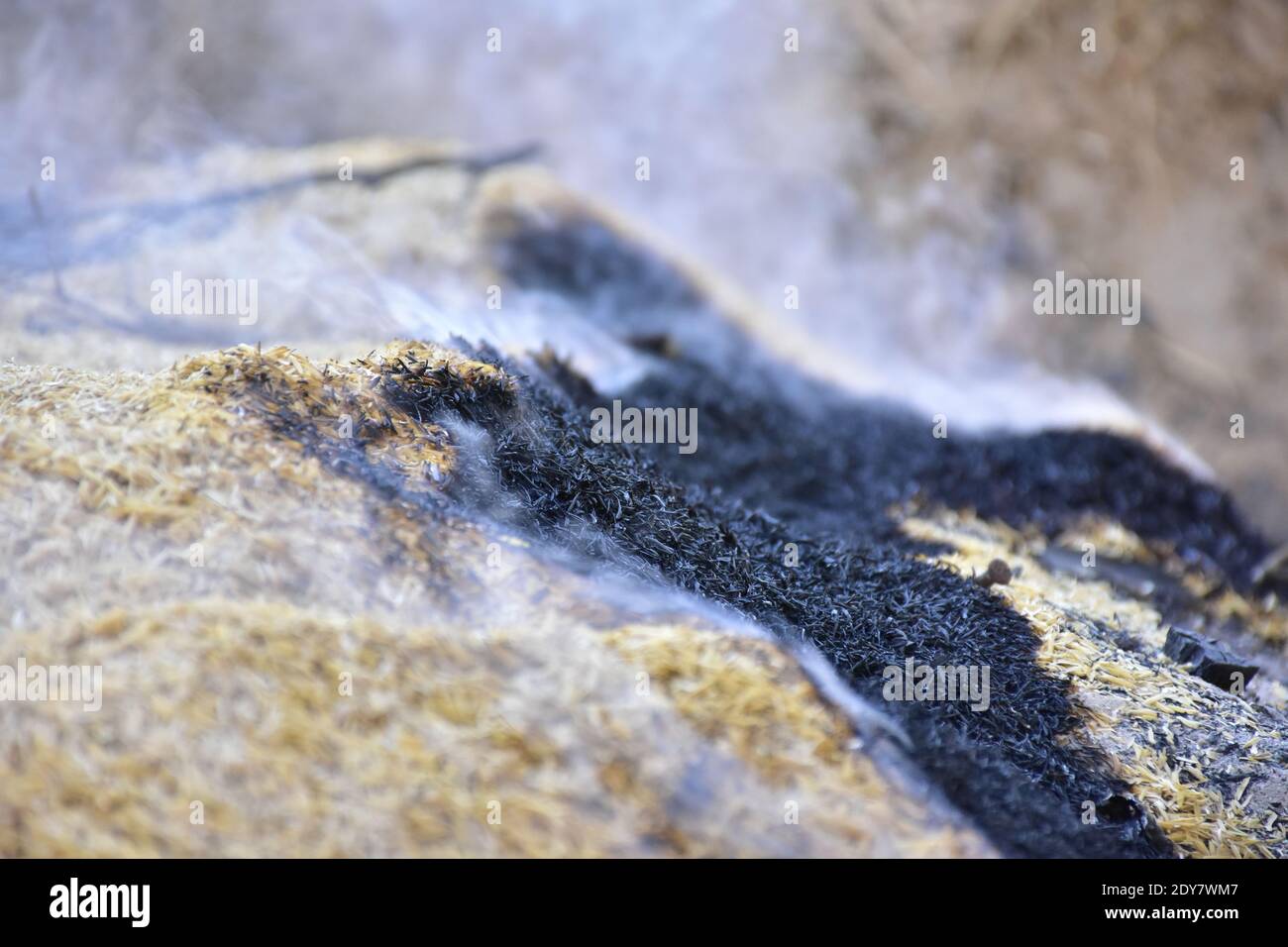 Fire caused air pollution hi-res stock photography and images - Alamy